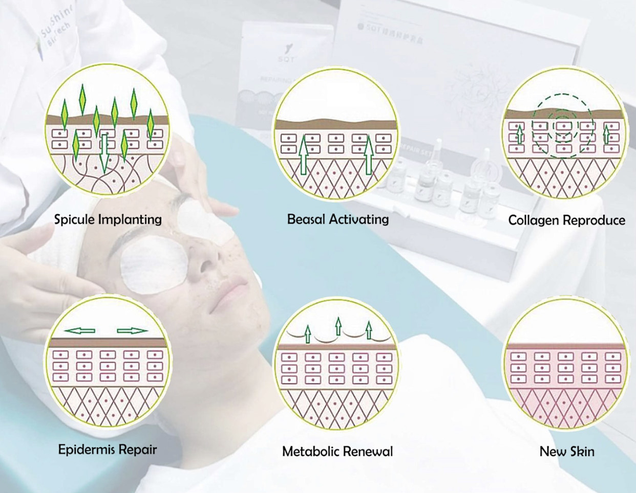 About Fresh Water Sponge – SQT Skin